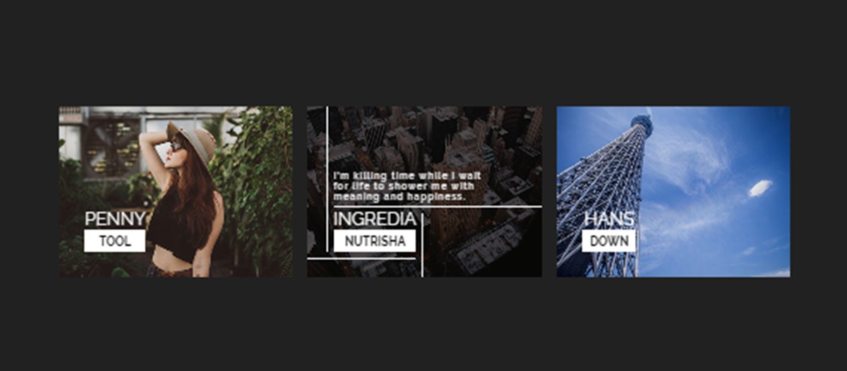 Top 100 CSS Examples 2020 for Free – Avada Blog