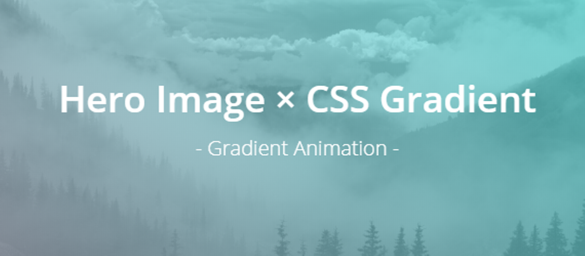 Top 100 CSS Examples 2020 for Free – Avada Blog